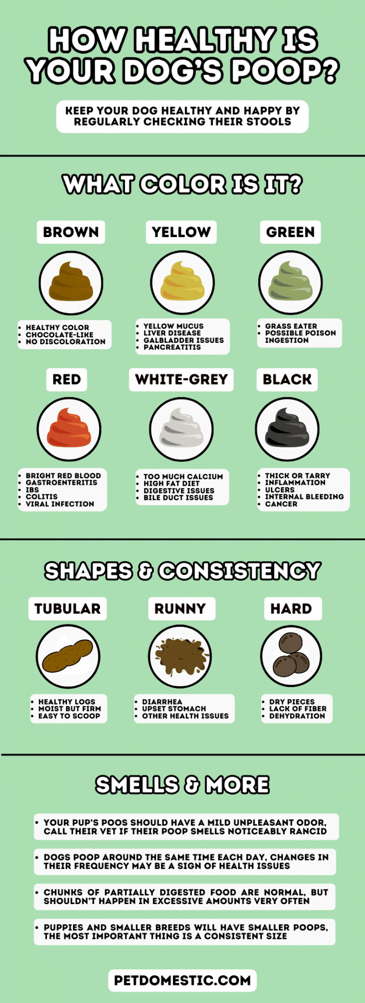 Dog Poop Guide with Color Chart
